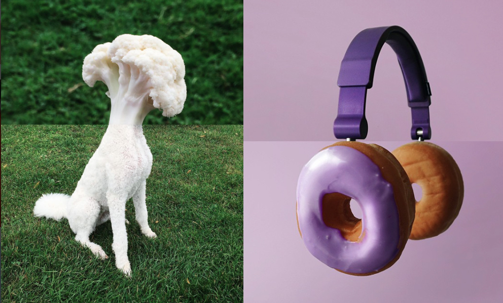 Creative and funny combo photos - Setaprint, an archive for visual ...