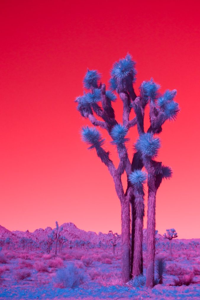 Palm Springs with infrared - Setaprint, an archive for visual inspiration